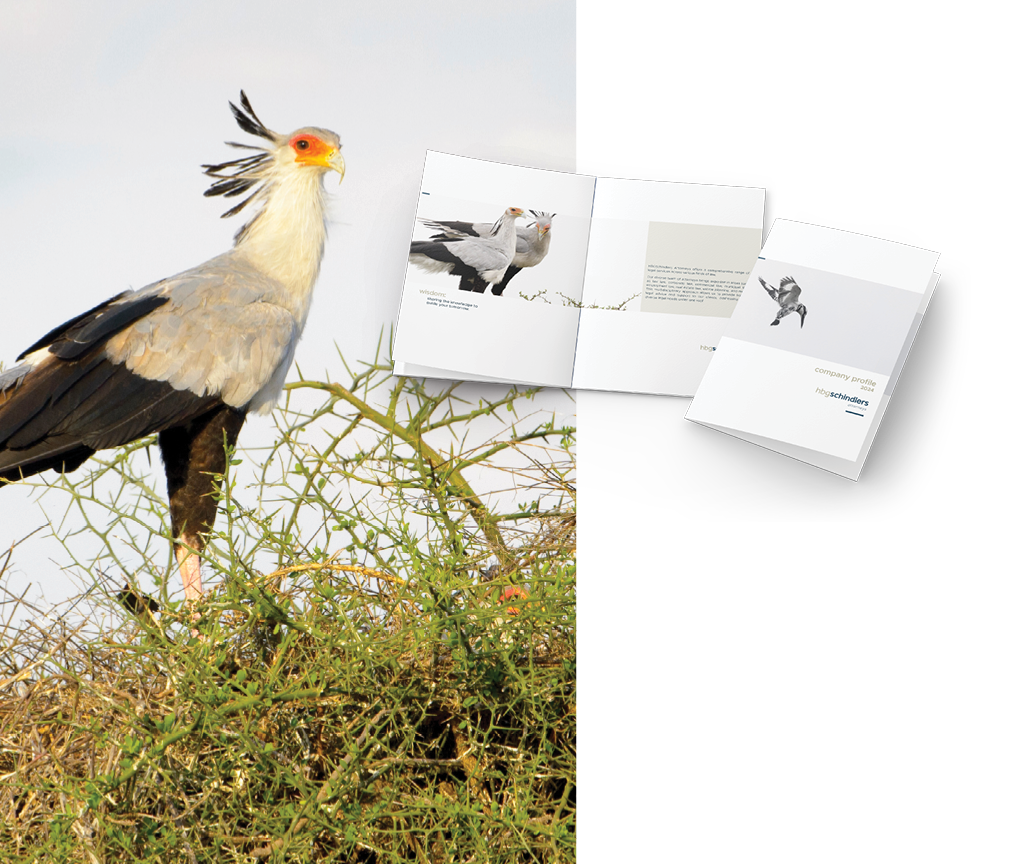 HBGSchindlers Attorneys - Silverrocket